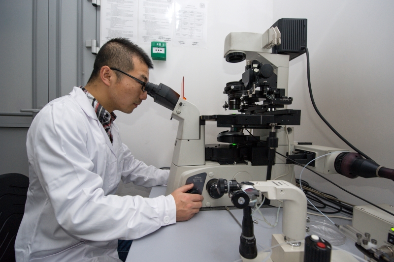 A super resolution view of chemical reactions | IChF PAN